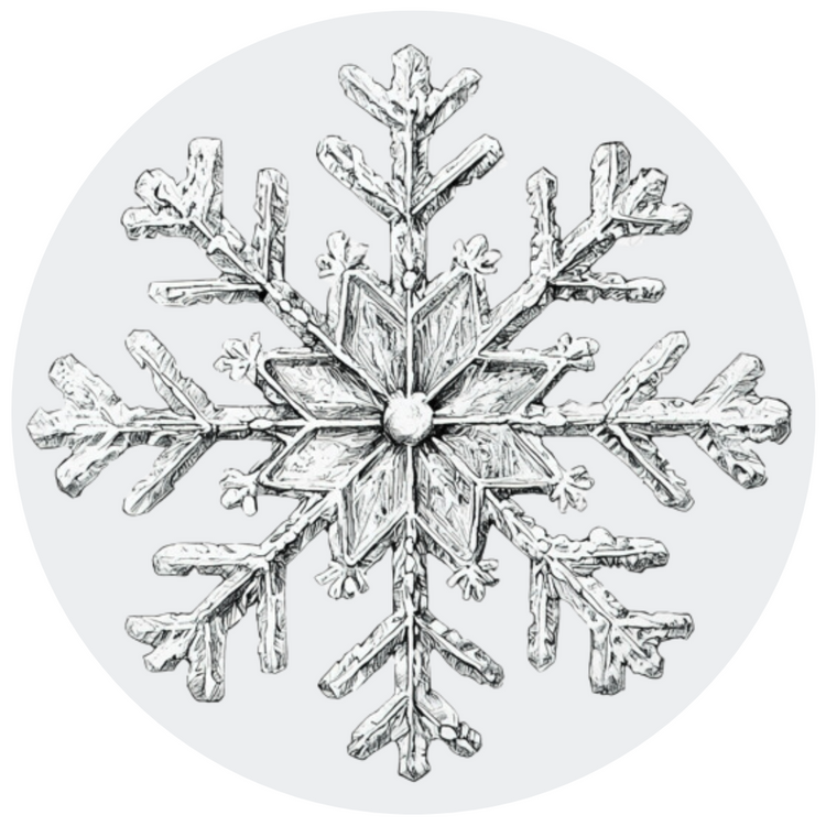 Collections – The Stick Club